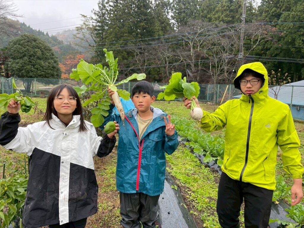 収穫した野菜を使おう！ | くらぶち英語村